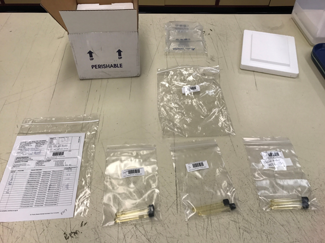 Highly Pathogenic Avian Influenza in Poultry - College of Veterinary ...