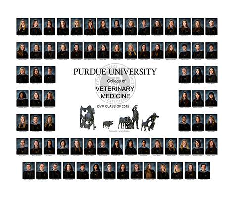 Doctor of Veterinary Medicine Class of 2015 - College of Veterinary ...