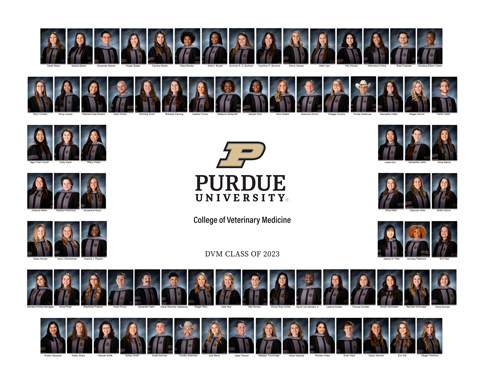 Doctor of Veterinary Medicine Class of 2023 - College of Veterinary ...