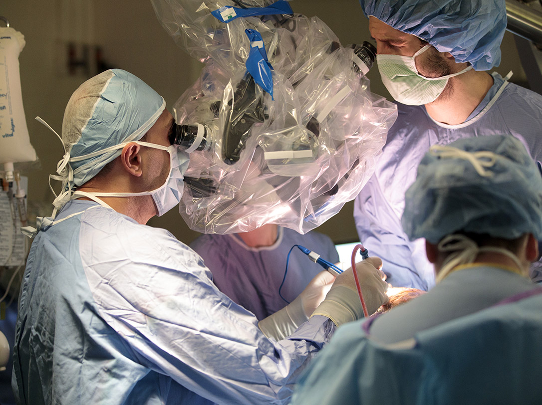 Surgery - College of Veterinary Medicine - Purdue University