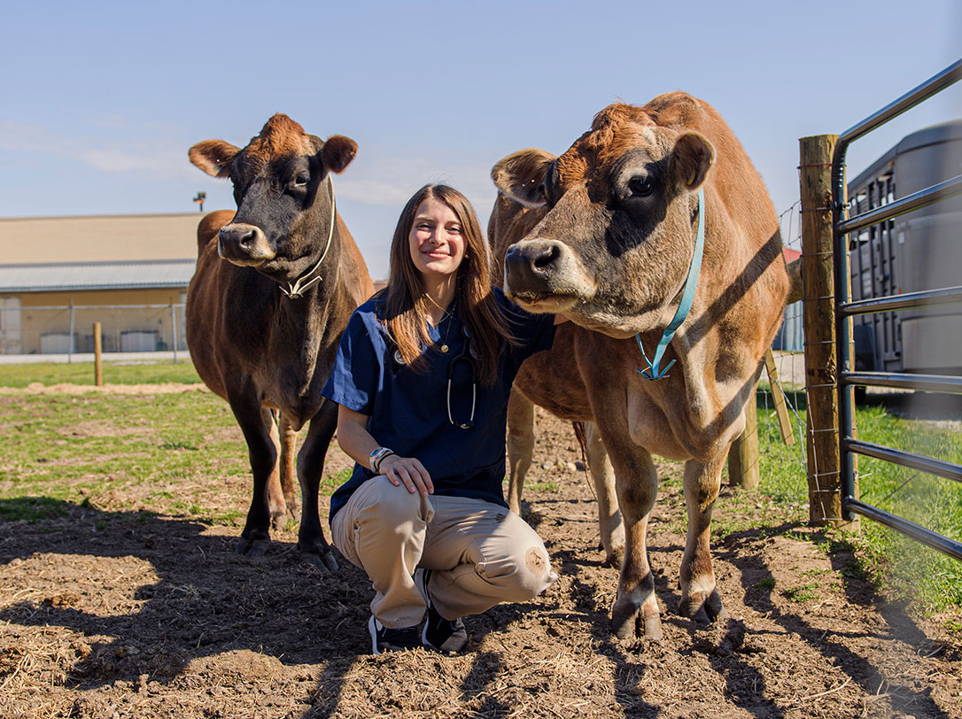Surgery - College of Veterinary Medicine - Purdue University