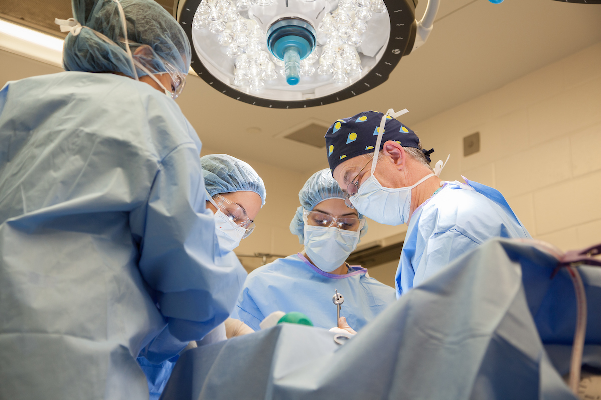 Surgery - College of Veterinary Medicine - Purdue University