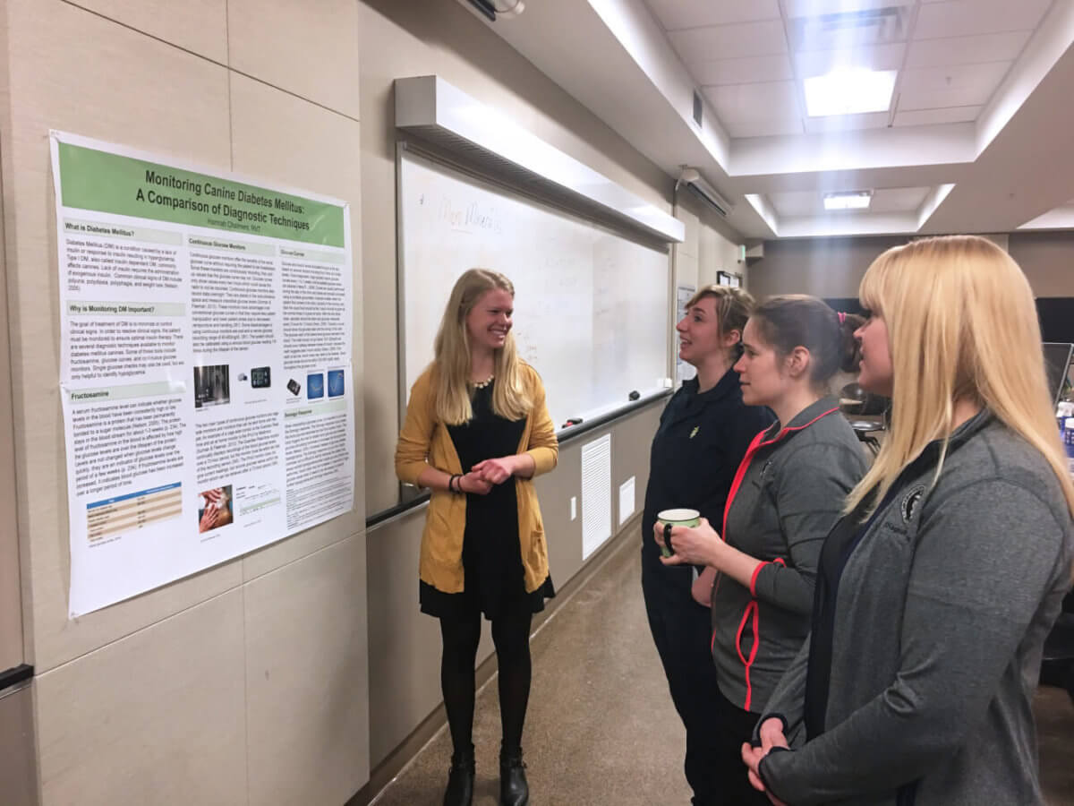 Senior Veterinary Technologist Students Celebrate Success with Senior ...