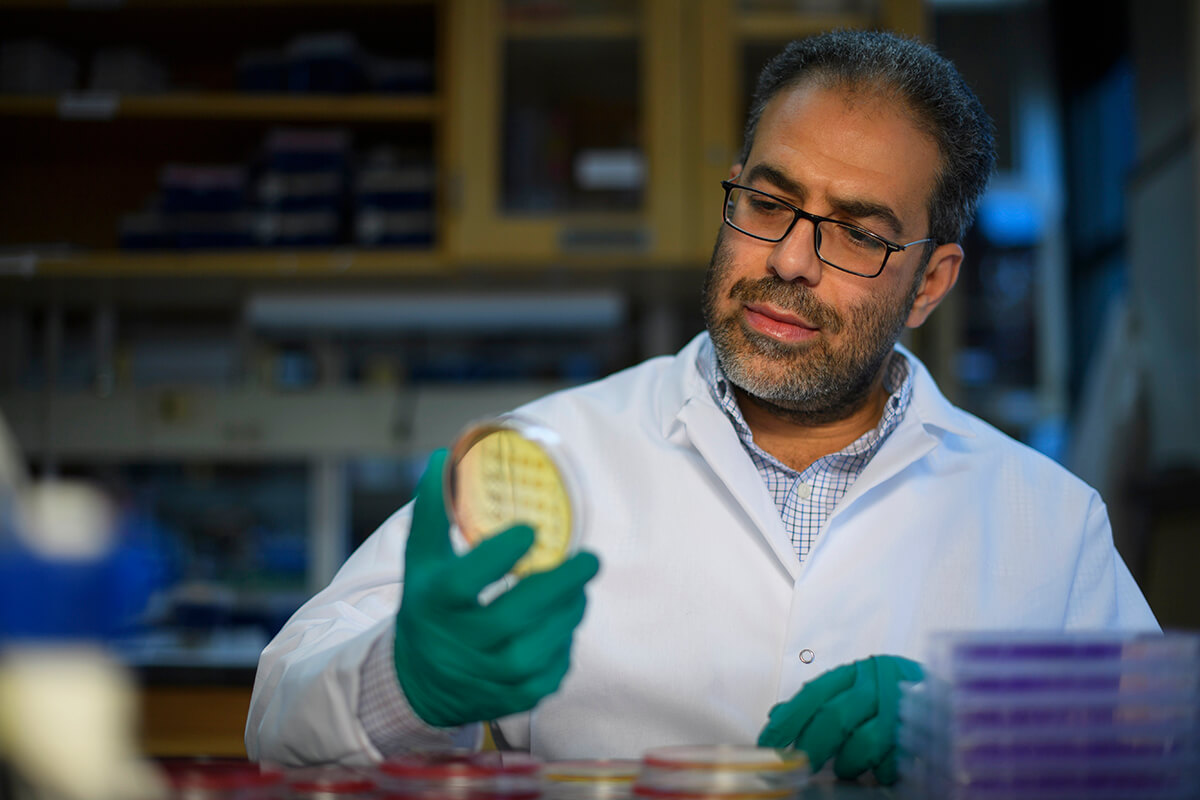 Record Research Funding Bodes Well for Animals, Humans | Purdue ...
