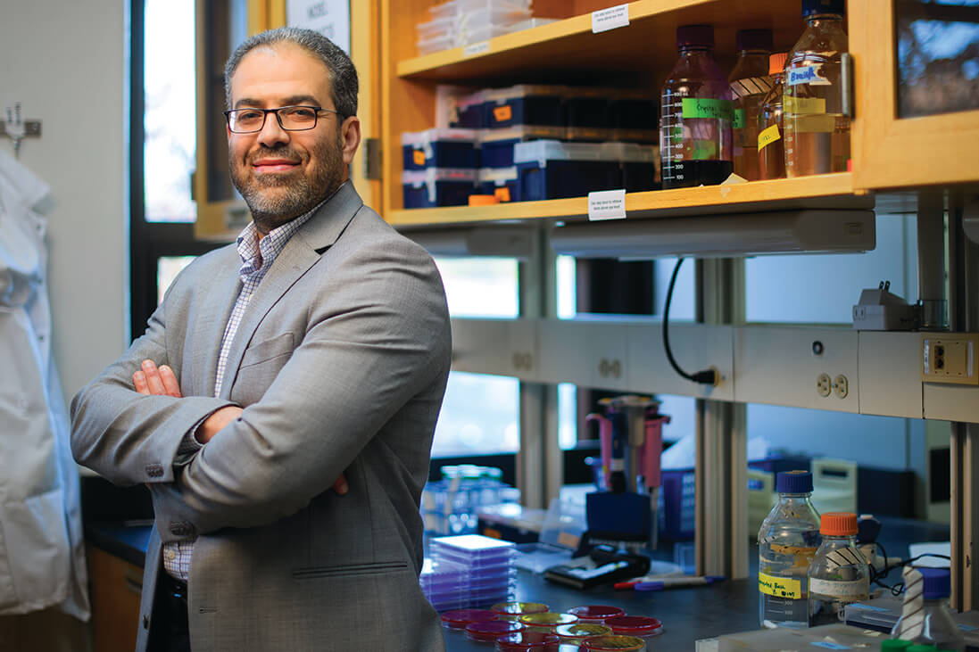 New NIH Grant Helps Dr. Mohamed Seleem Pursue Faster Method for ...