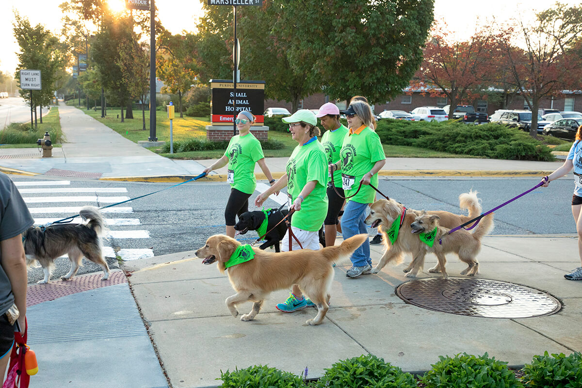Purdue Veterinary Conference Public Events Bring out the Dog Lovers in ...