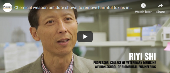 BMS Faculty Member Finds that Urine Analysis Could Speed Diagnosis of ...