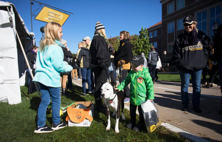 Pets Draw a Crowd at PVM’s Homecoming Booth | Purdue University College ...