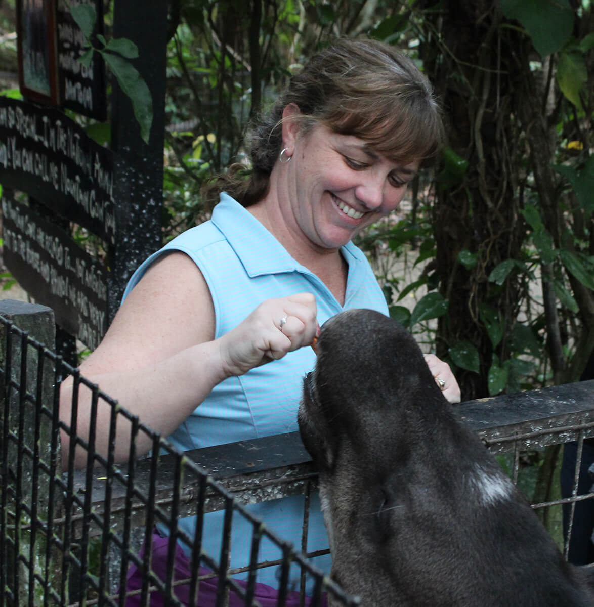 Veterinary Professionals Gained Wildlife Conservation and ...