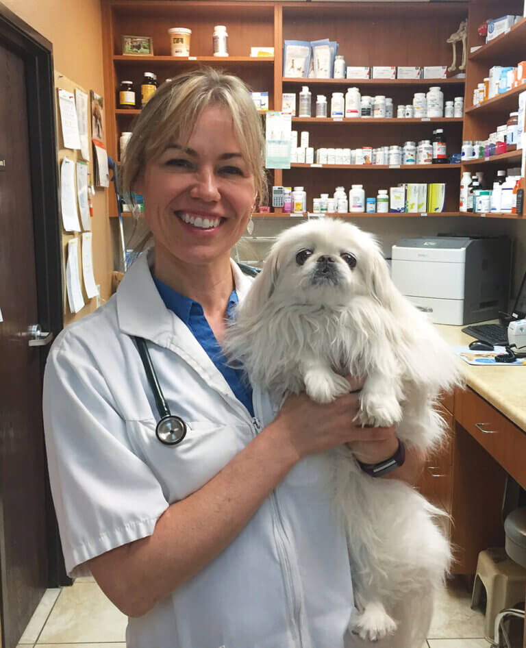 Virtual Awards Ceremony Confers Recognition on Outstanding Alumni and ...