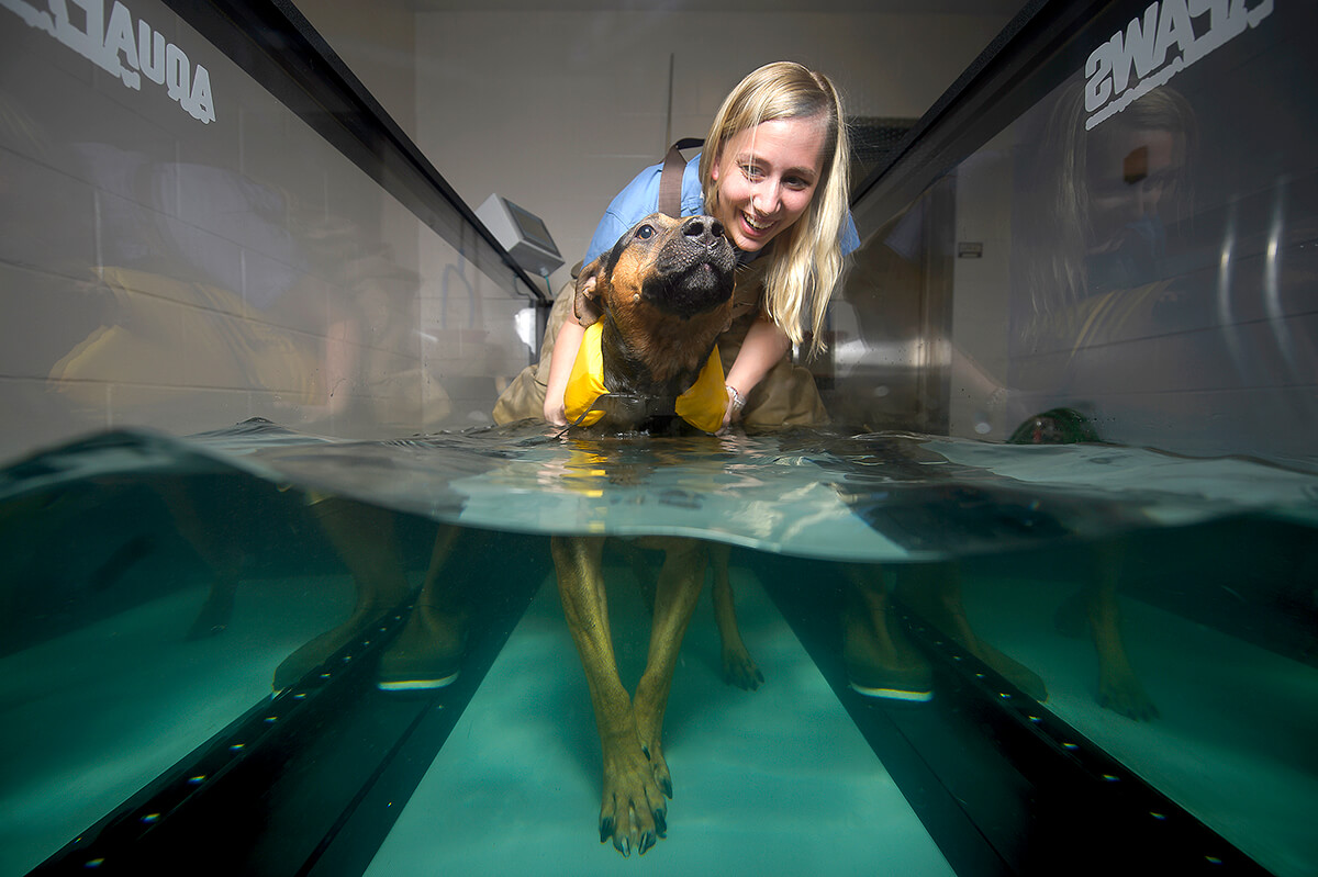 Purdue Veterinary Nurse Jessica Bowditch Earns Specialist Designation ...