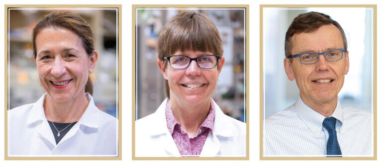 New Milestone Achieved as Roll of Distinguished Professors Grows ...