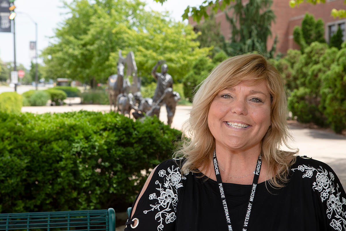 Veterinary Superhero League Adds Practice Teams Manager | Purdue ...