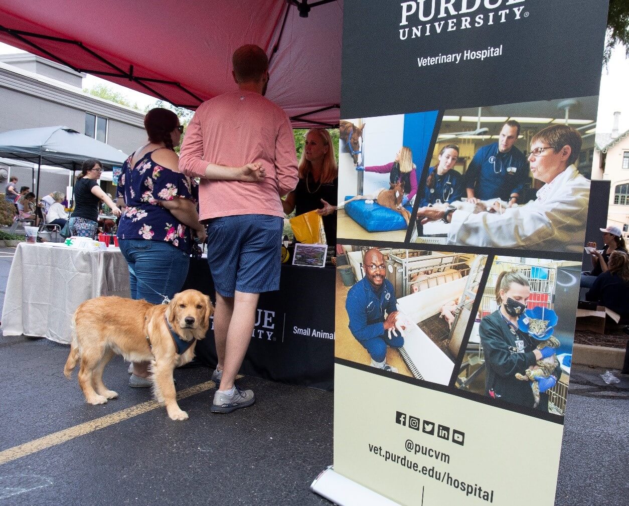 Art Museum and PVM Collaborate on Festive Event Bringing Art, People ...