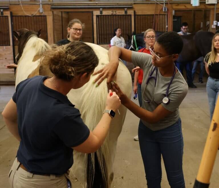 PVM Honored with National Health Professions Higher Education ...