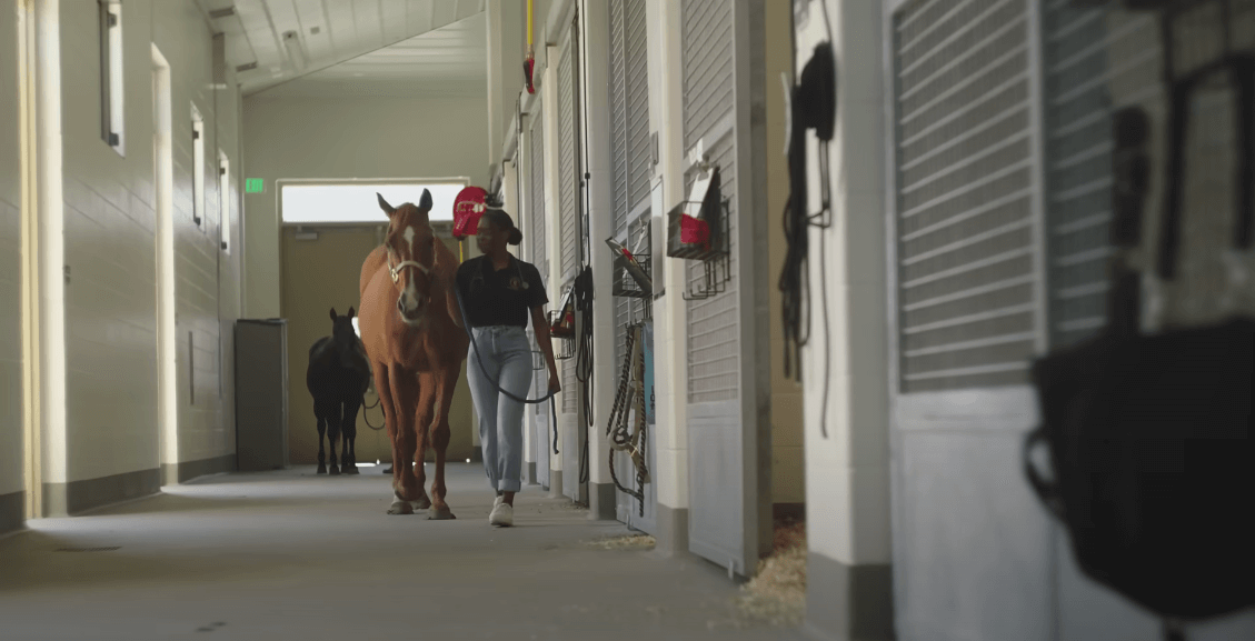 New Equine Hospital Featured in Purdue Commercial Focused on Dreams ...