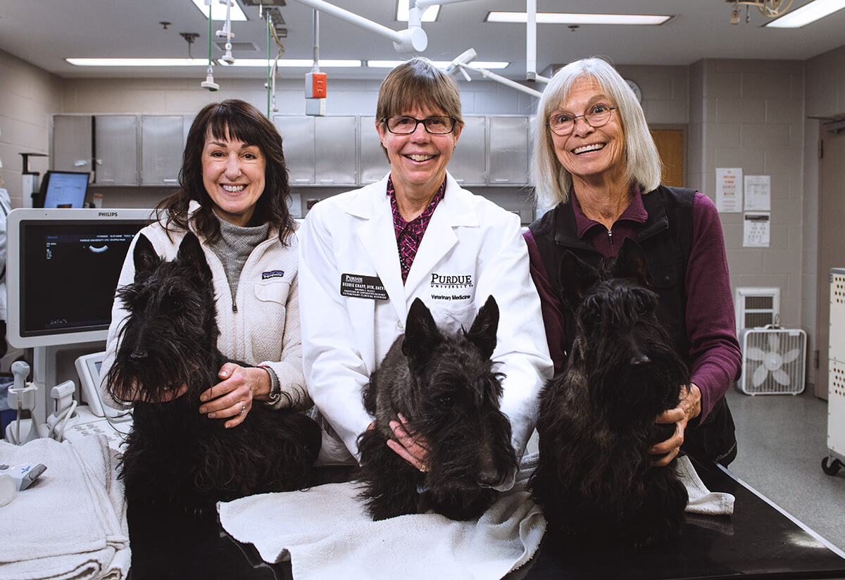 Man’s Best Friend Leads the Way to Early Cancer Detection in Study ...