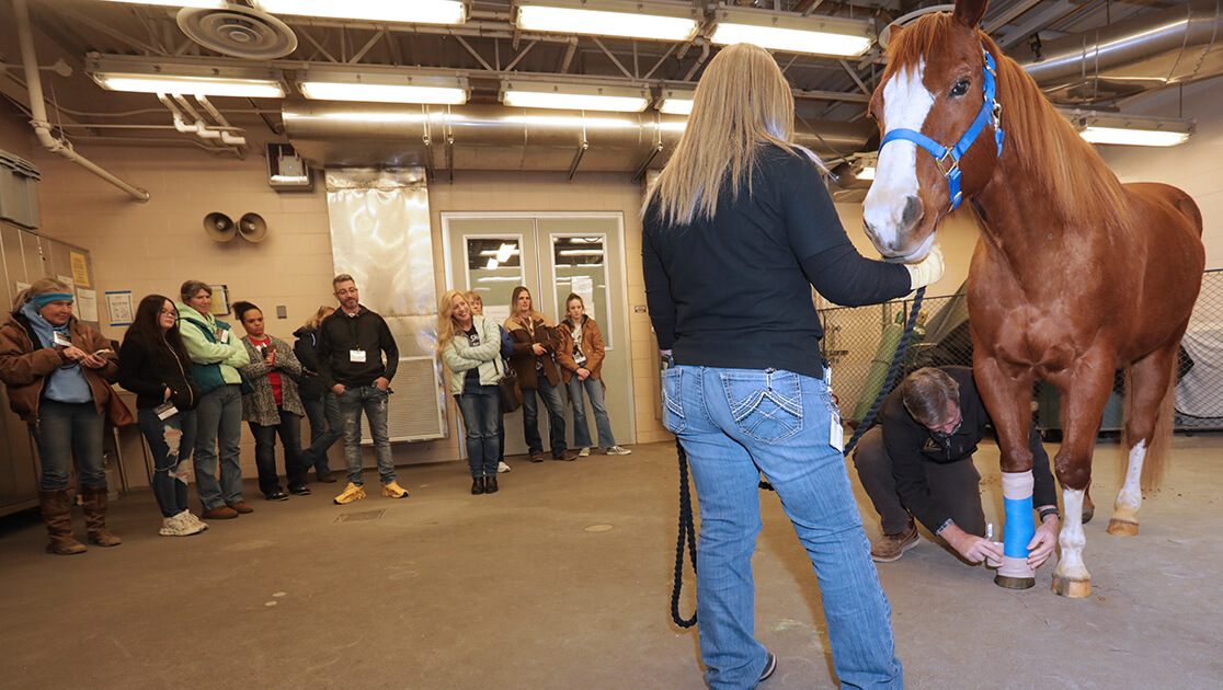 Popularity of Annual Equine Wellness Forum Continues as Event Returns ...
