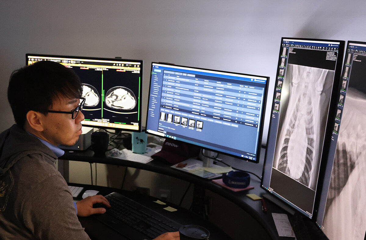 PVM Next – Powering the Next Generation of Veterinary Care, Service ...