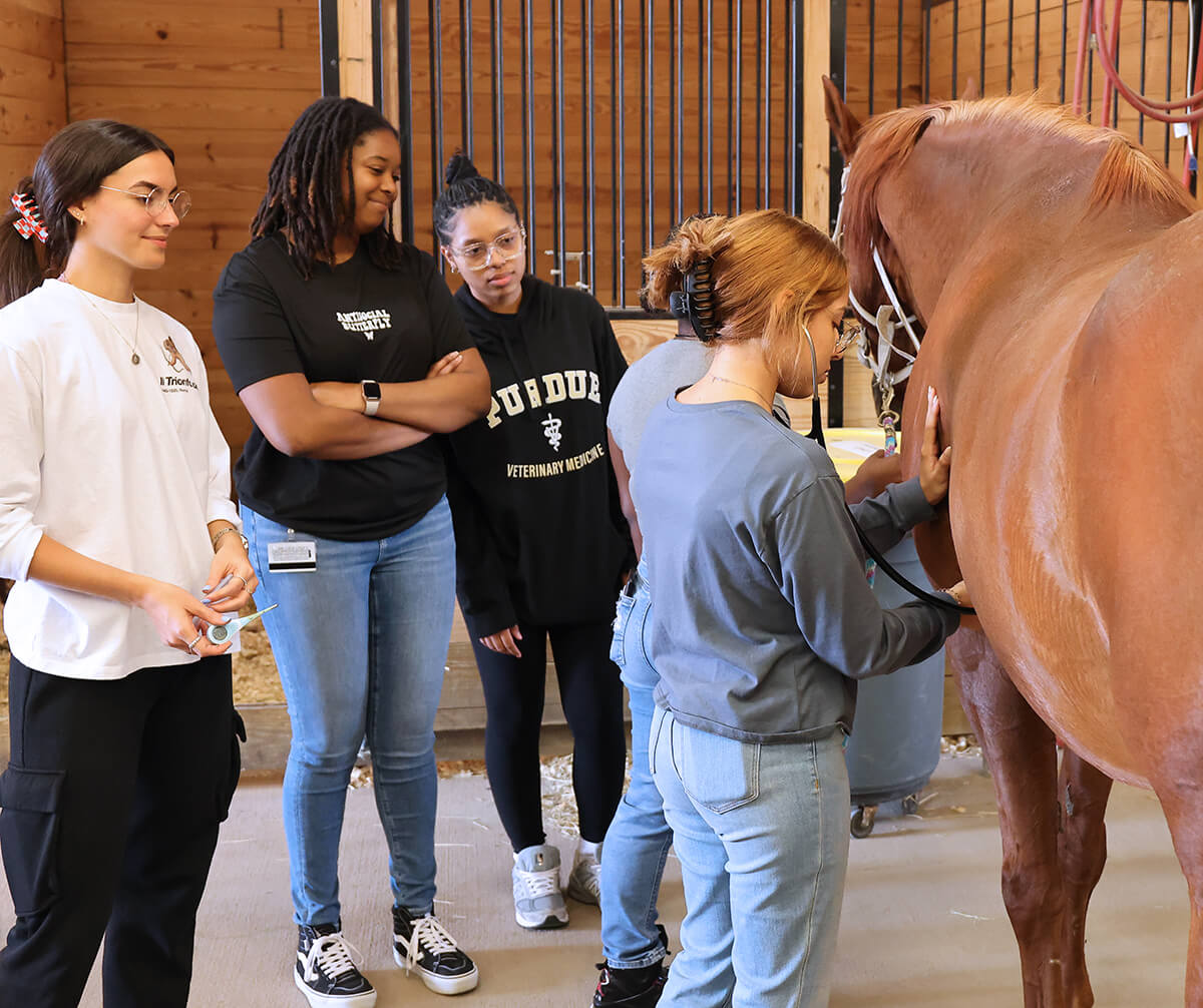 2023 Vet Up! College Cohort Honored at Farewell Ceremony and Reception ...