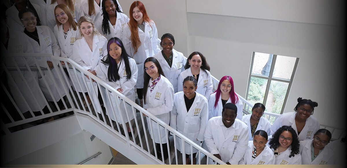 2023 Vet Up! College Cohort Honored at Farewell Ceremony and Reception ...