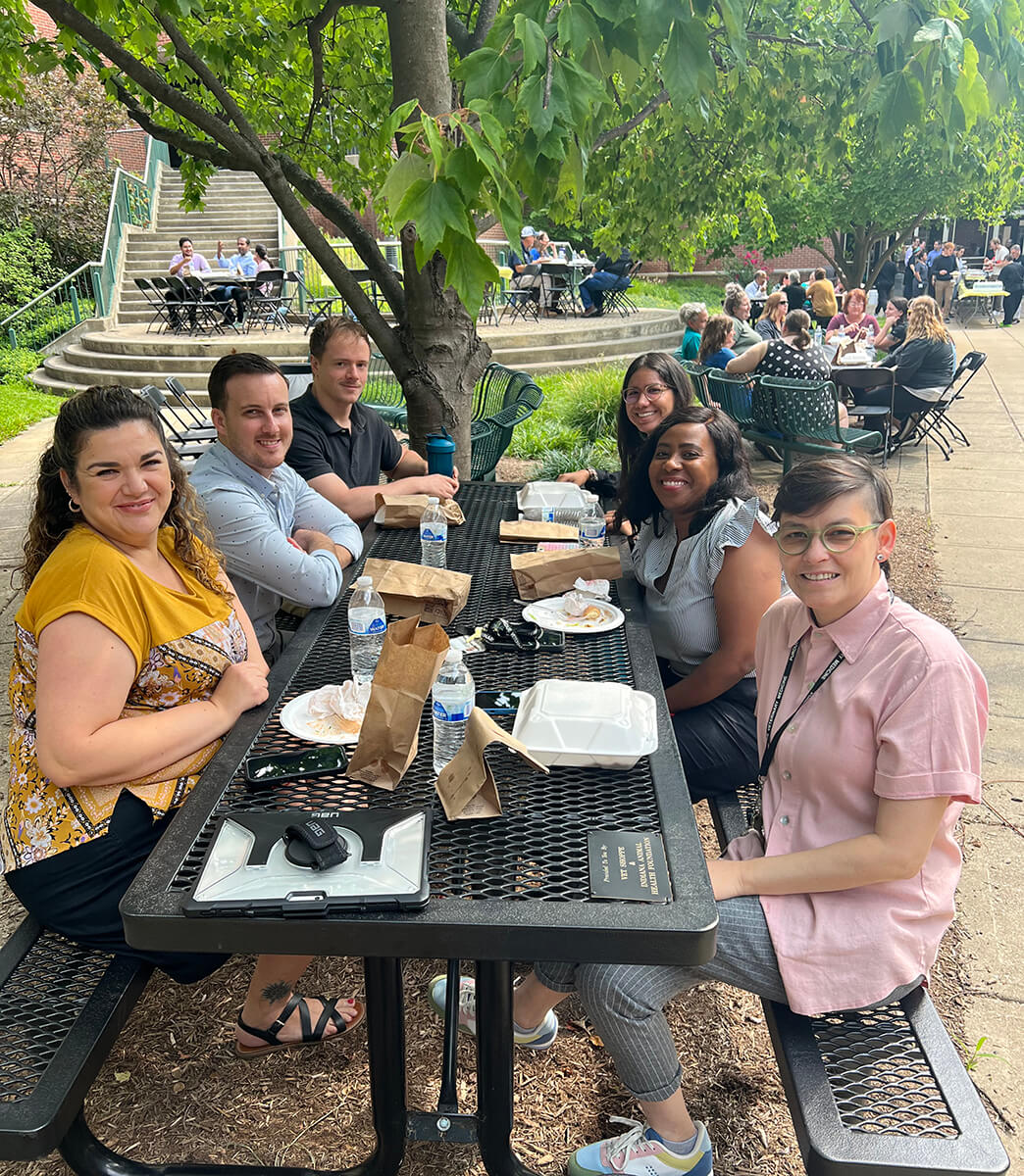 Festive Taco-themed Lunch Celebrates Hard Work of PVM Staff and Faculty ...