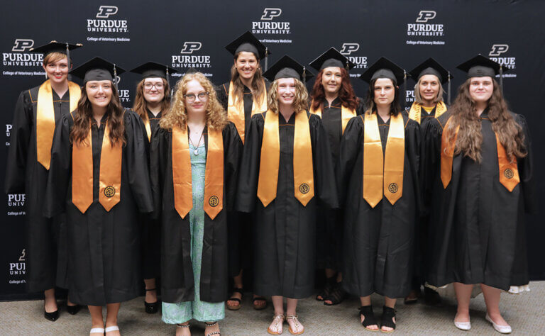 August Graduation Celebration Honors Veterinary Nursing Graduates ...