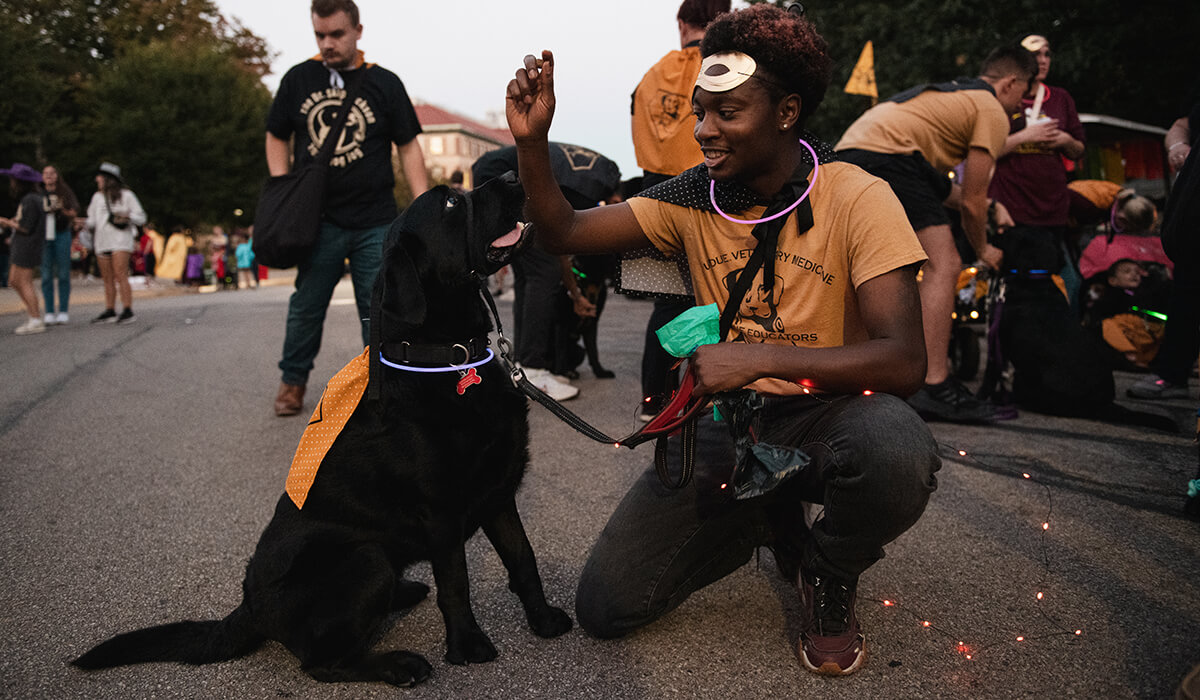 The College of Veterinary Medicine and the Human-Animal Bond Showcased ...