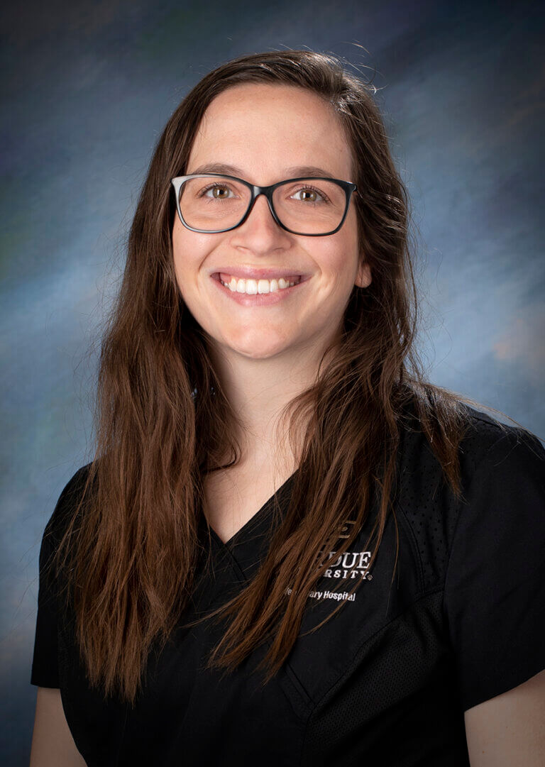 “Paws Up” – brought to you by the PVM Wellness Committee | Purdue ...