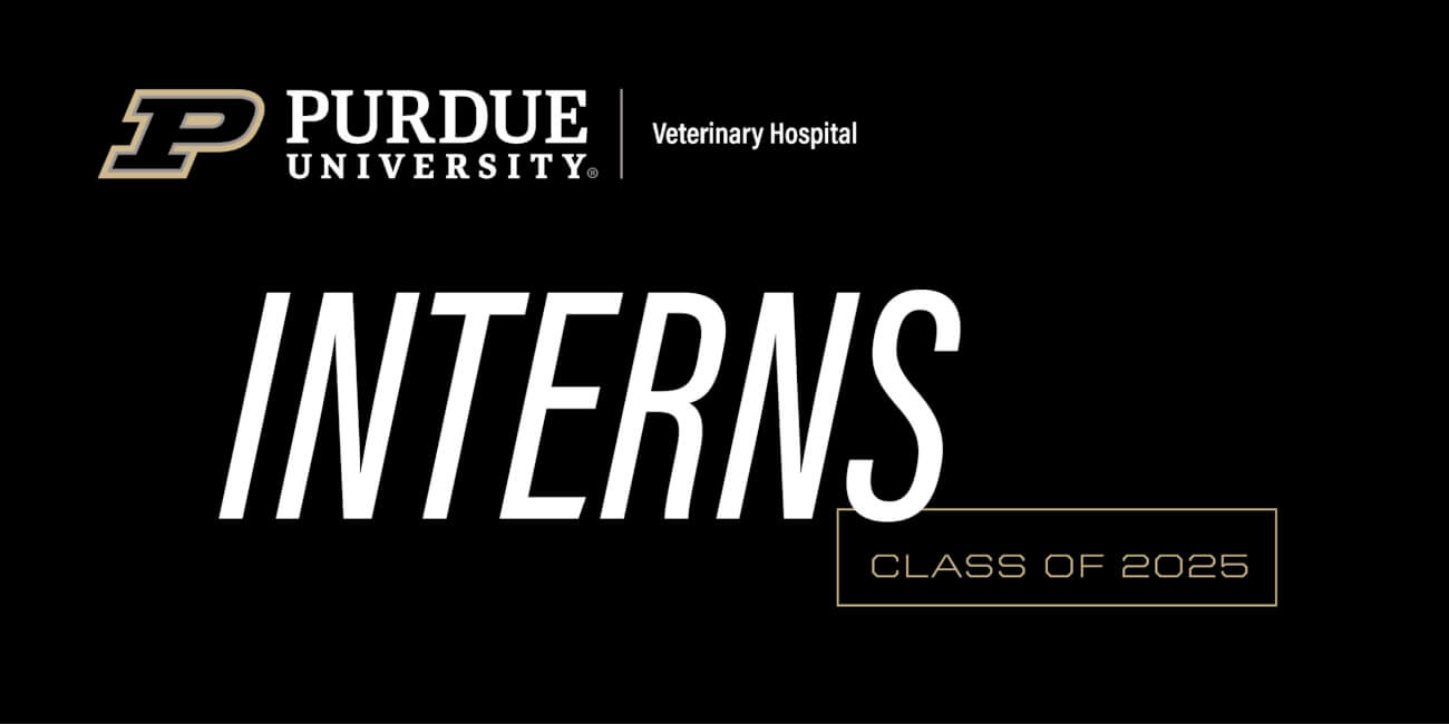 New Purdue University Veterinary Hospital Interns Begin Advanced ...