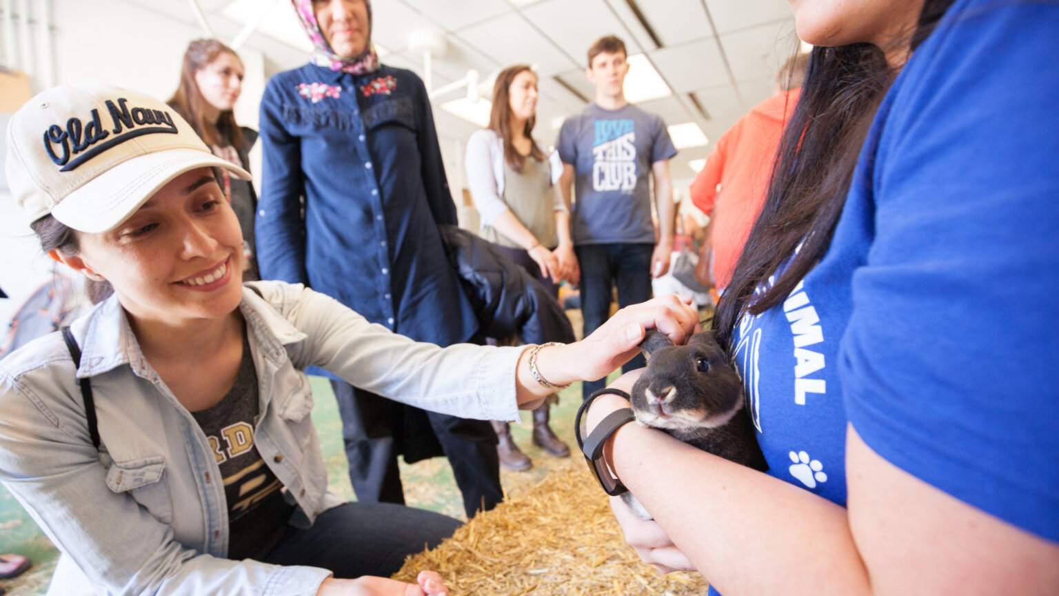 PVM Puts Best Paw Forward at 2025 Open House Tomorrow | Purdue ...