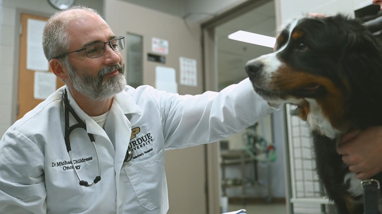 One Health Film Festival Features Purdue Veterinary Medicine One Health ...