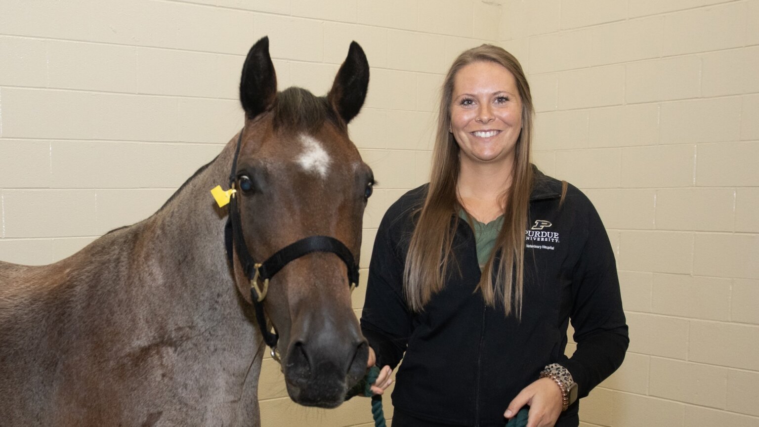 “Paws Up” – brought to you by the PVM Wellness Committee | Purdue ...