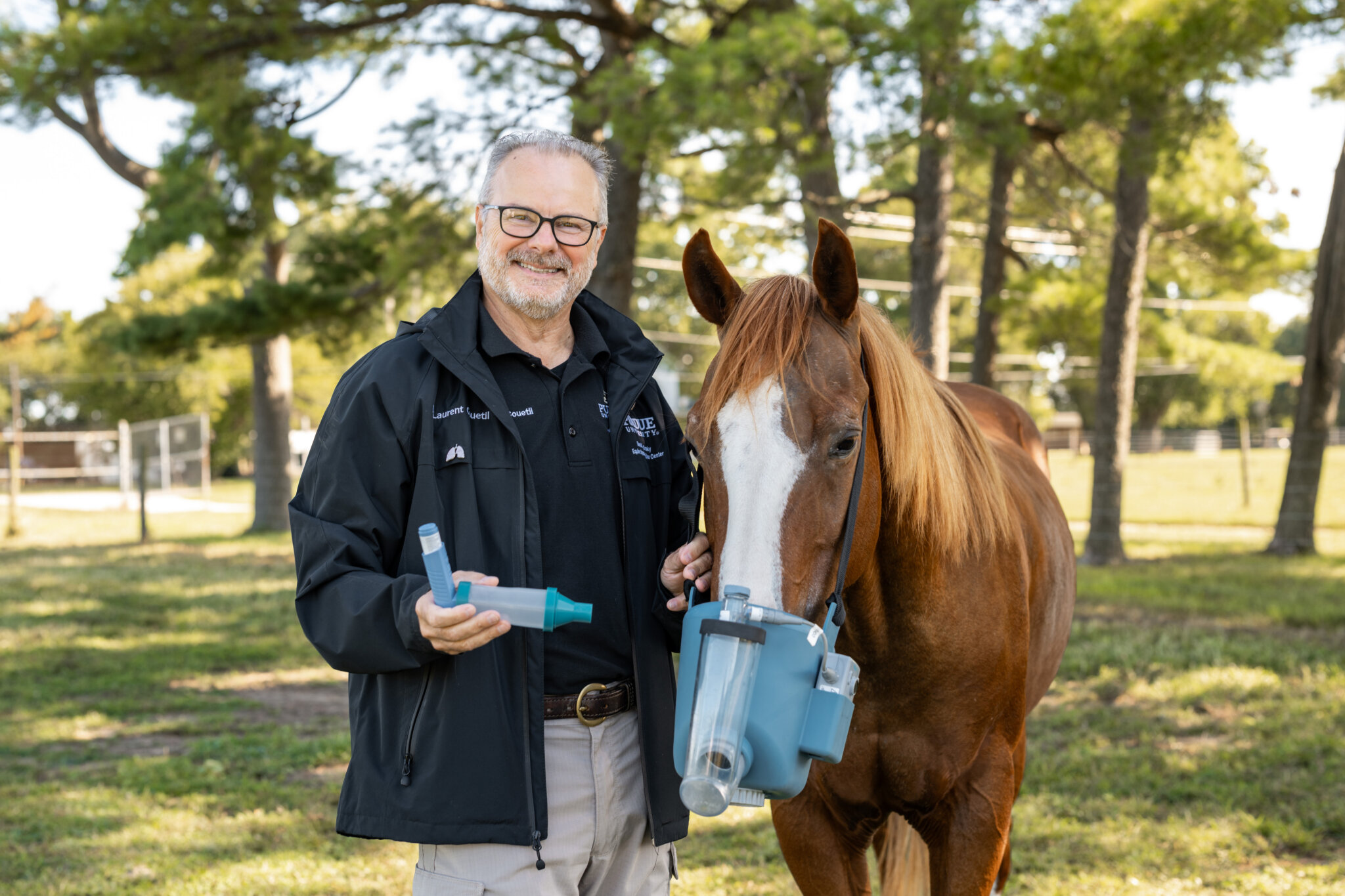 Running like the wind: Studying asthma in horses helps lead human ...