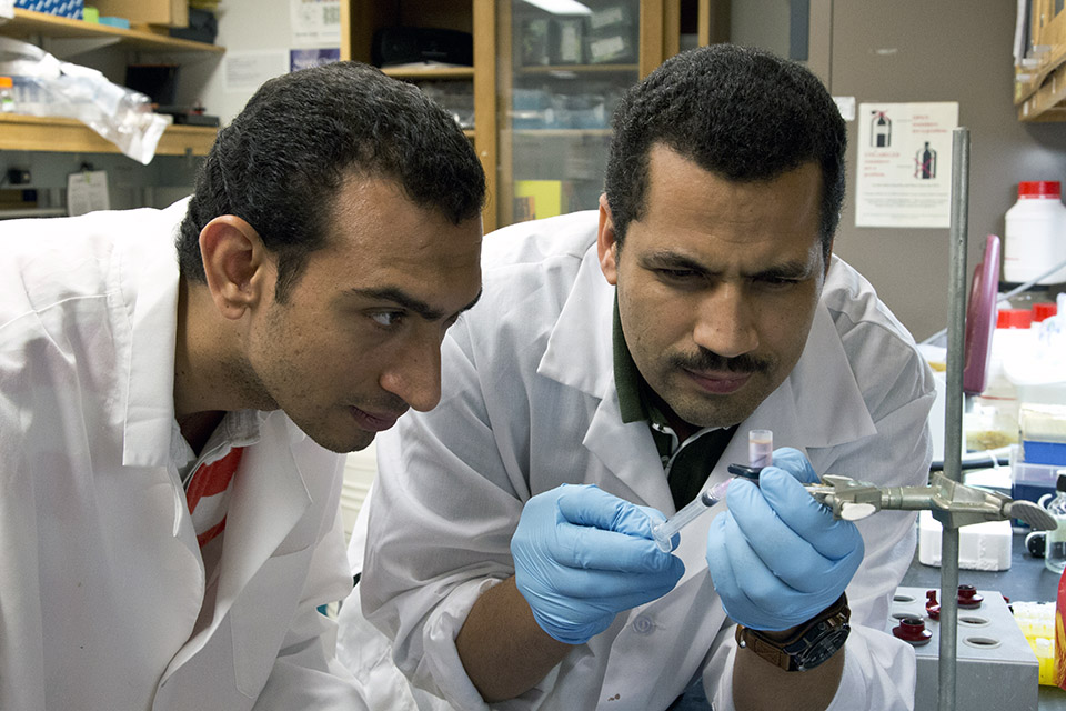 One Health - College of Veterinary Medicine - Purdue University