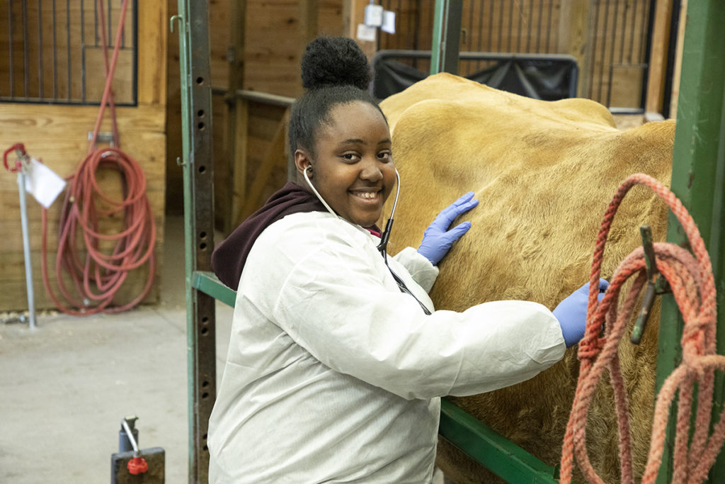 Vet Up! College | VetaHumanz | College of Veterinary Medicine