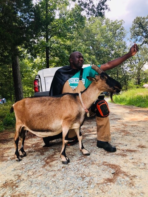 Dr. Allen L. Cannedy | VetaHumanz | College of Veterinary Medicine