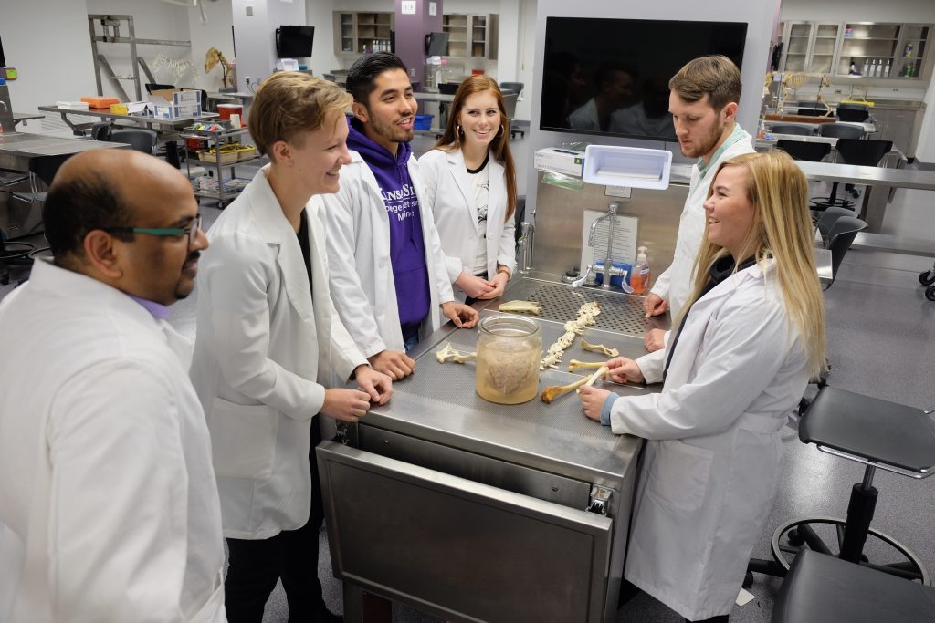 KSU College of Veterinary Medicine Open House | VetaHumanz | College of ...